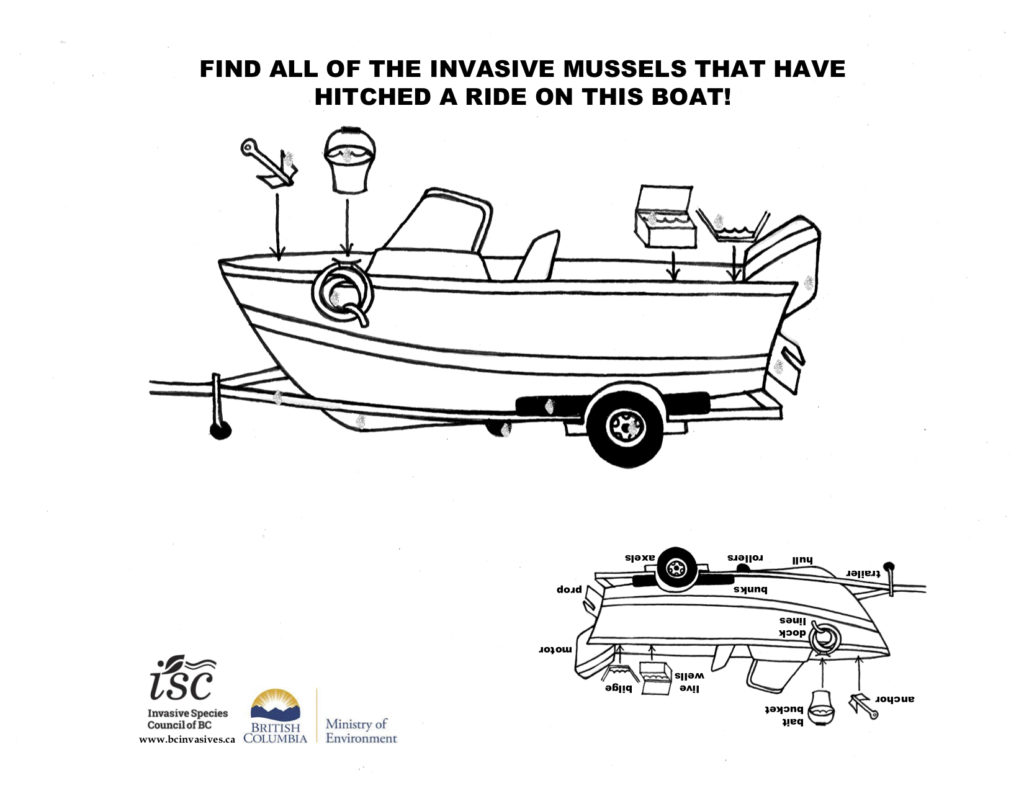 Aquatic Invasive Species - Mille Lacs Lake Watershed Group